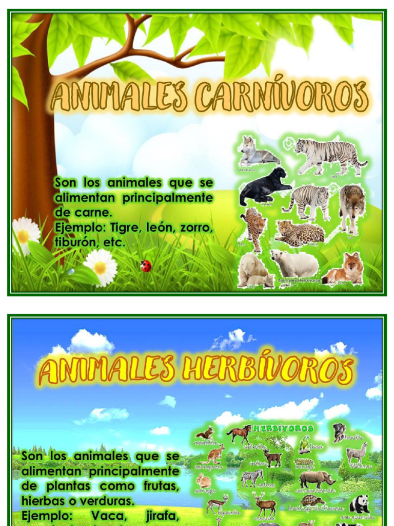 Animales Carnívoros y Herbívoros para Niños | PDF