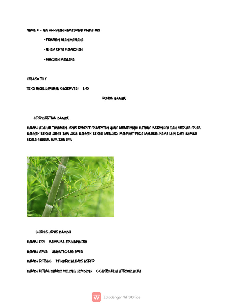 Pengertian Bambu | PDF