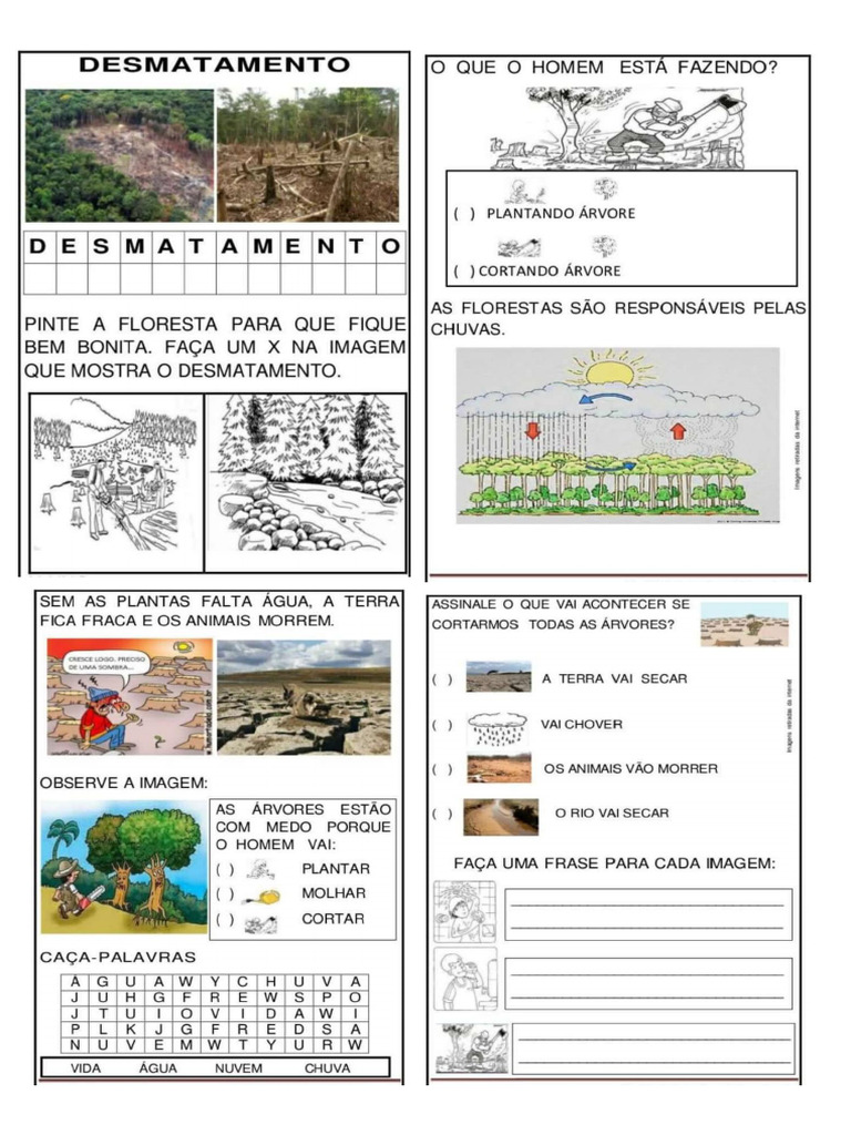 Ciencias3° Ano Desmatamentos | PDF
