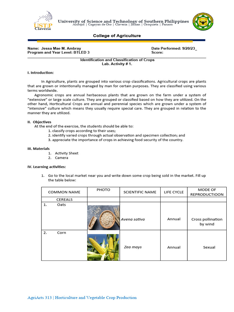 Laboratory Activity 1 | PDF | Watermelon | Cabbage