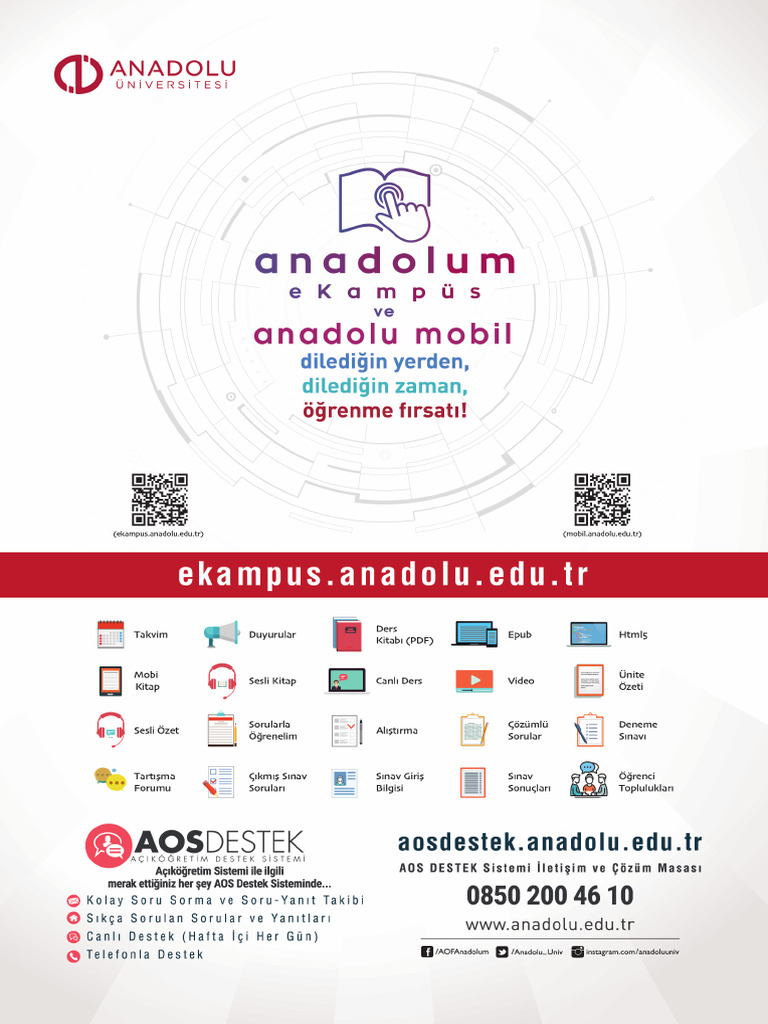 Insan Ve Hayvan Karşılaştırmalı Anatomi - 1 | PDF