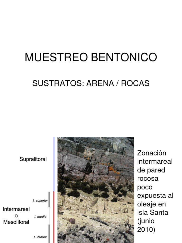 Muestreo Bentonico | PDF