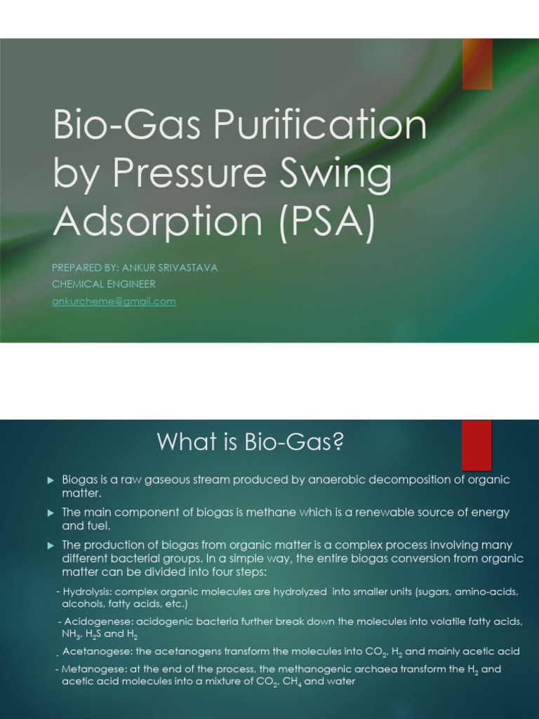 Biogas Purification by PSA | PDF