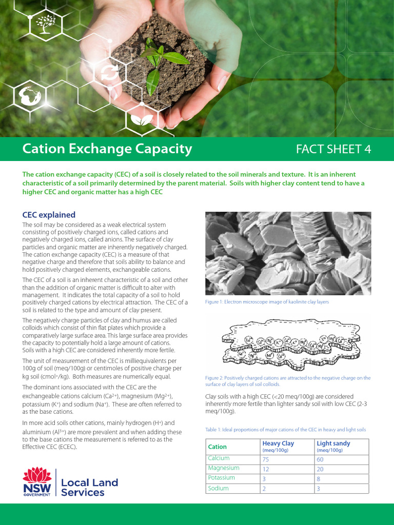 4 Cation Exchange Capacity - FINAL | PDF
