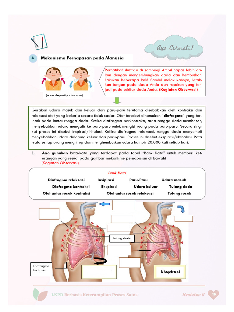 Memposting Status | PDF