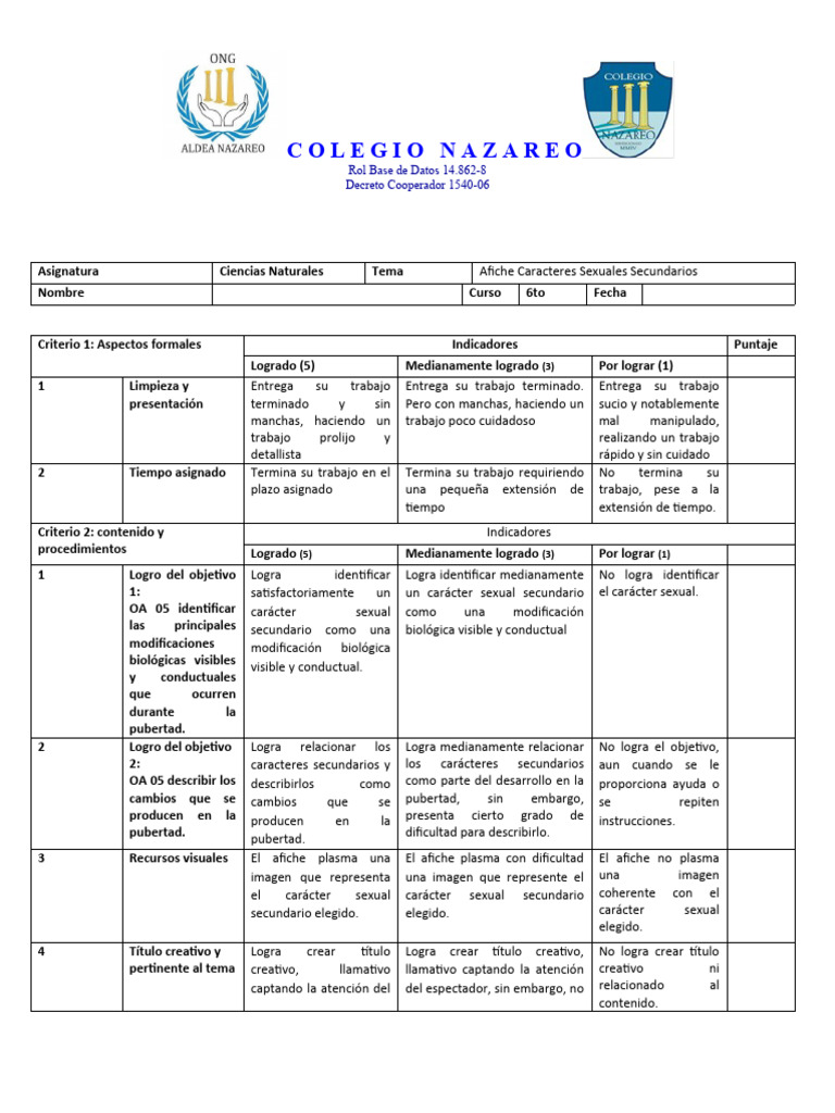 Afiche 6° BÁSICO | PDF