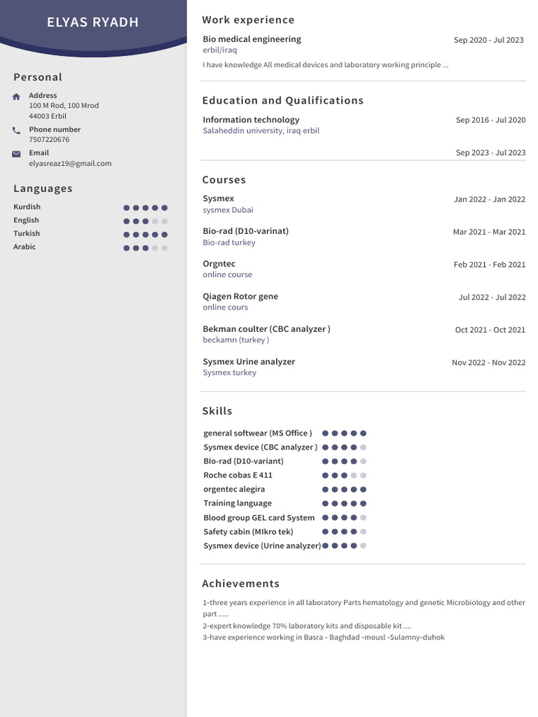 CV Elyas Kamal #1 | PDF