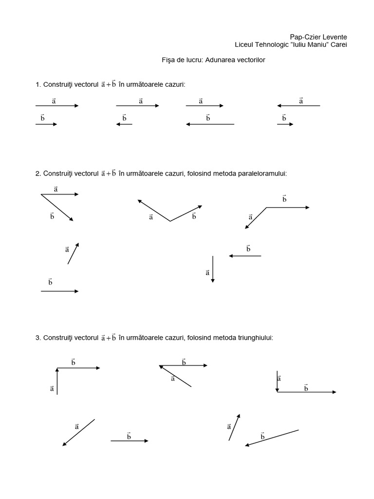 Adunarea Vectorilor Fisa de Lucru | PDF