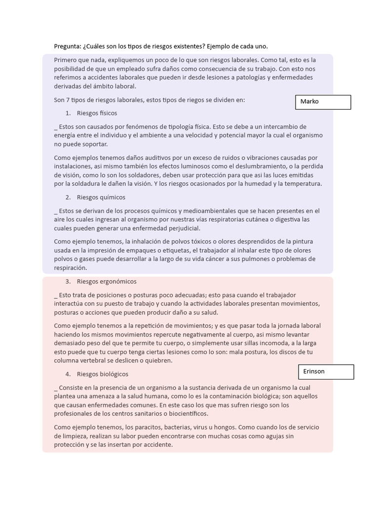 Los 7 Riesgos Laborales | PDF