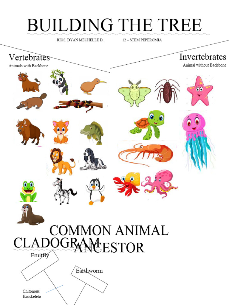 Building the Tree and Making Cladograms, Rios | PDF | Invertebrate ...