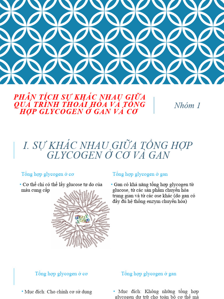 Phân Tích S Khác Nhau Gi A Quá Trình | PDF