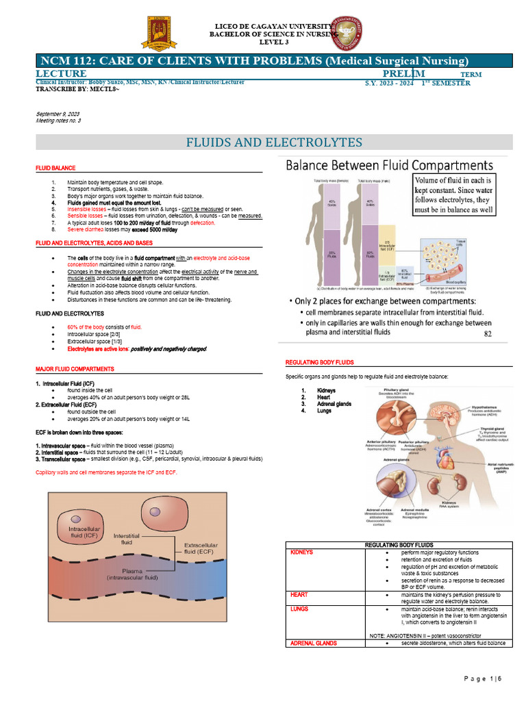 MEDSURG - Lec 3 - PRELIM - Fluids and Electrolytes, IV Solutions | PDF