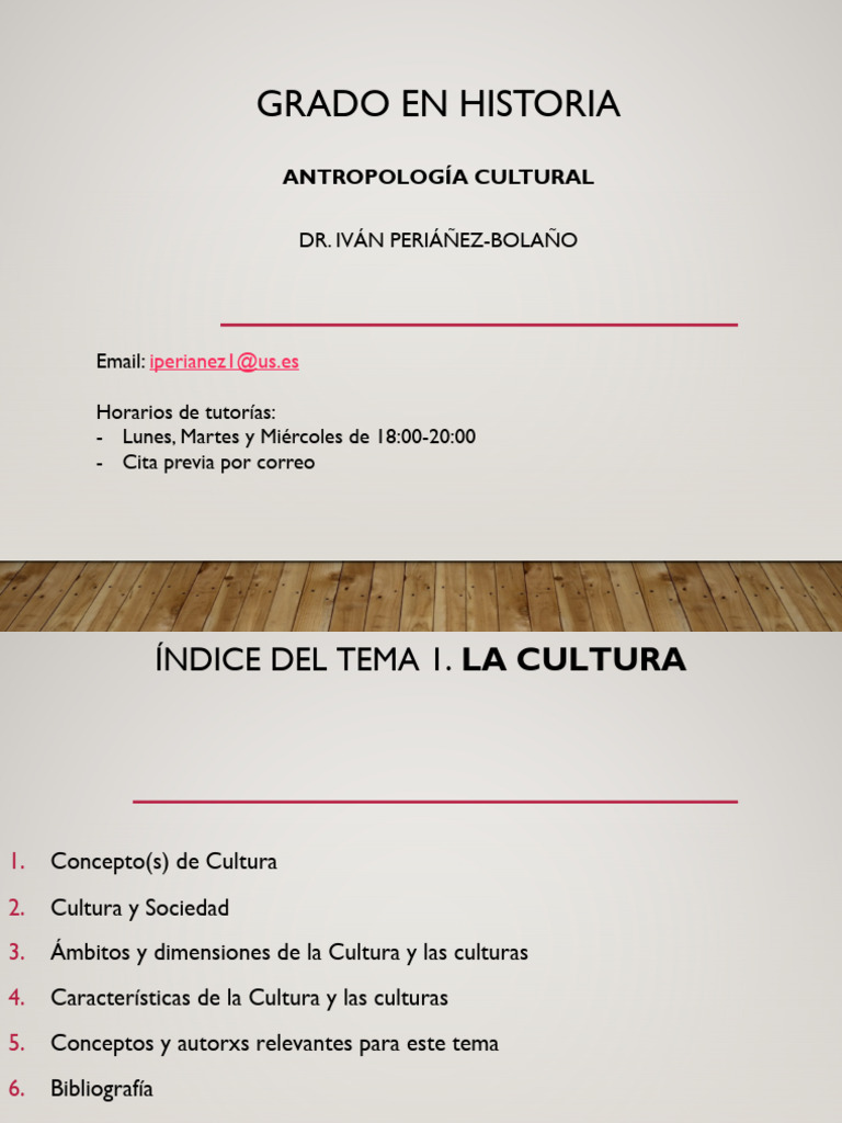 Tema 1. La Cultura | PDF