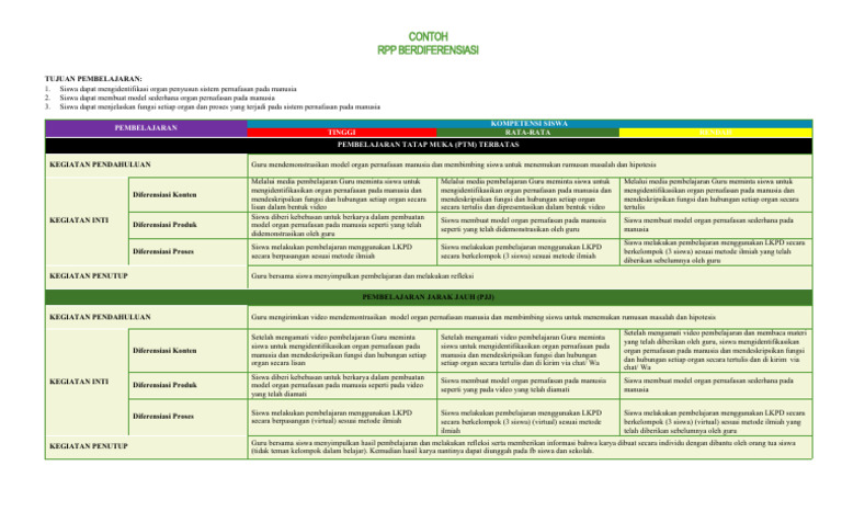 Contoh RPP Berdiferensiasi Pera | PDF