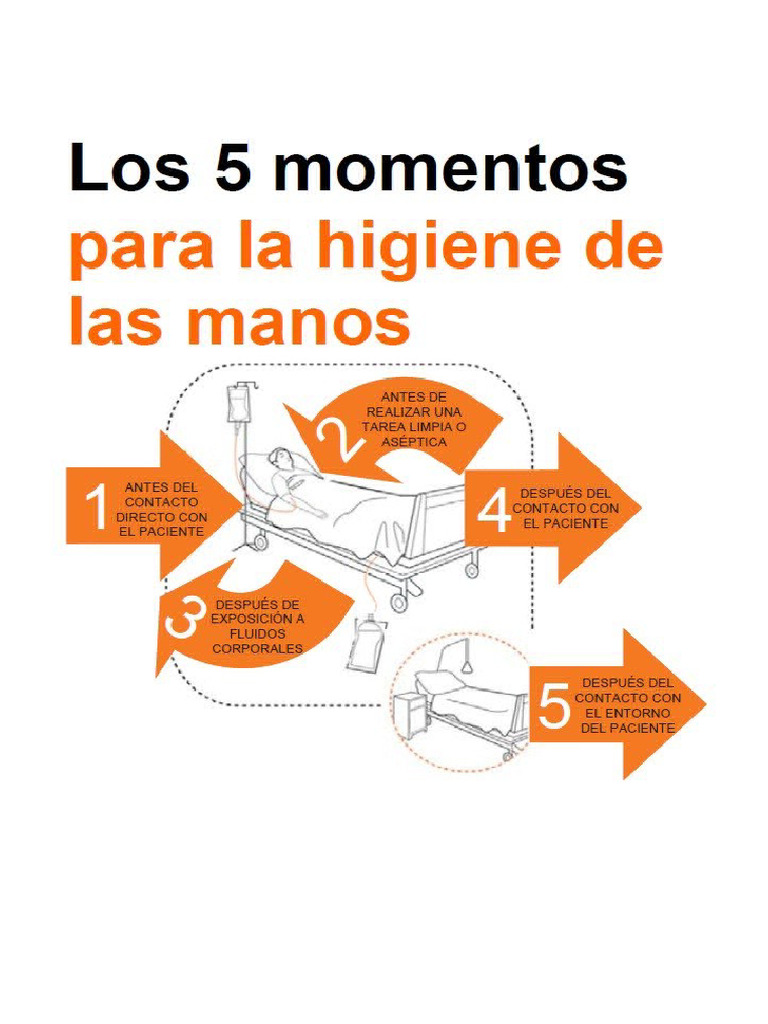 Los 5 Momentos para La Higiene de Manos | PDF
