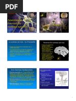 Les QCM Sur Le Système Nerveux | PDF | Système nerveux | Neurone