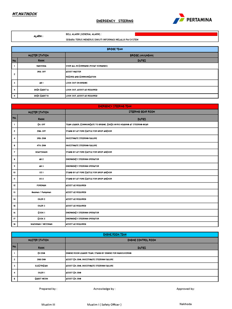 Emergency Steering Team Duties Guide | PDF