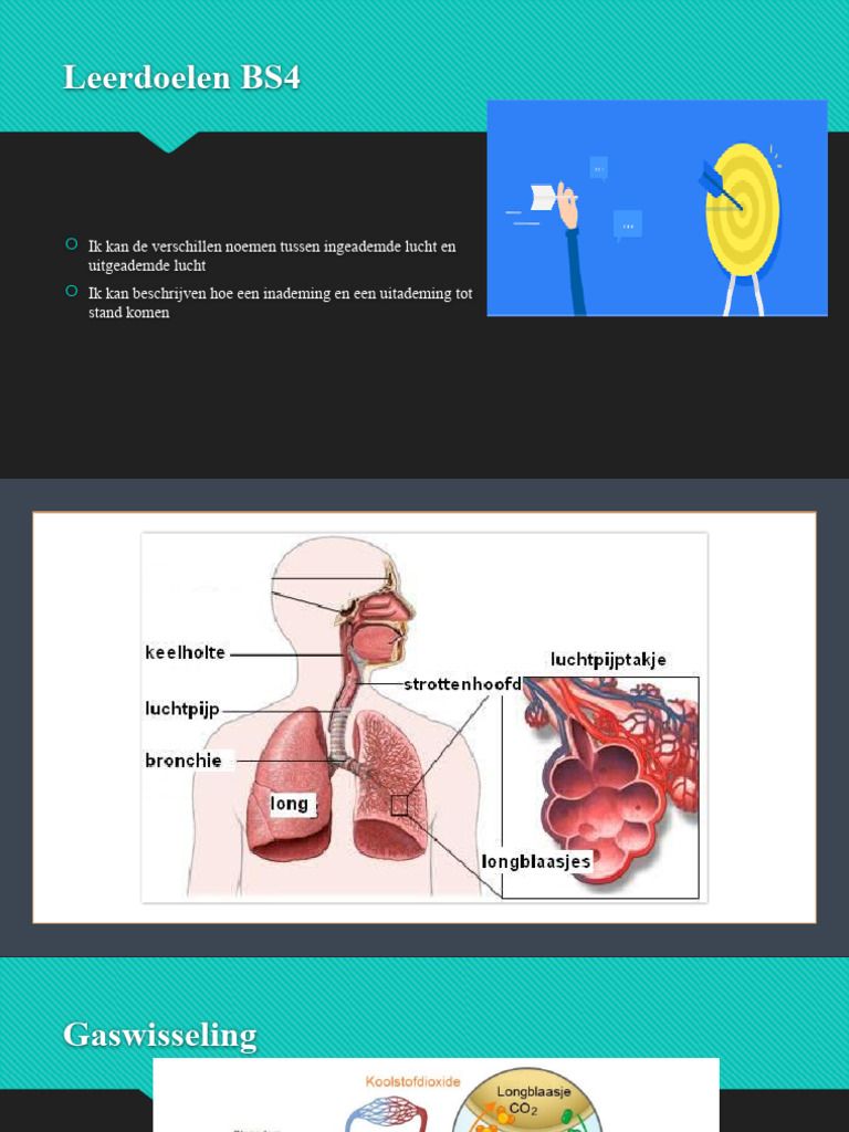 Thema 1 BS4 Ademhalen | PDF