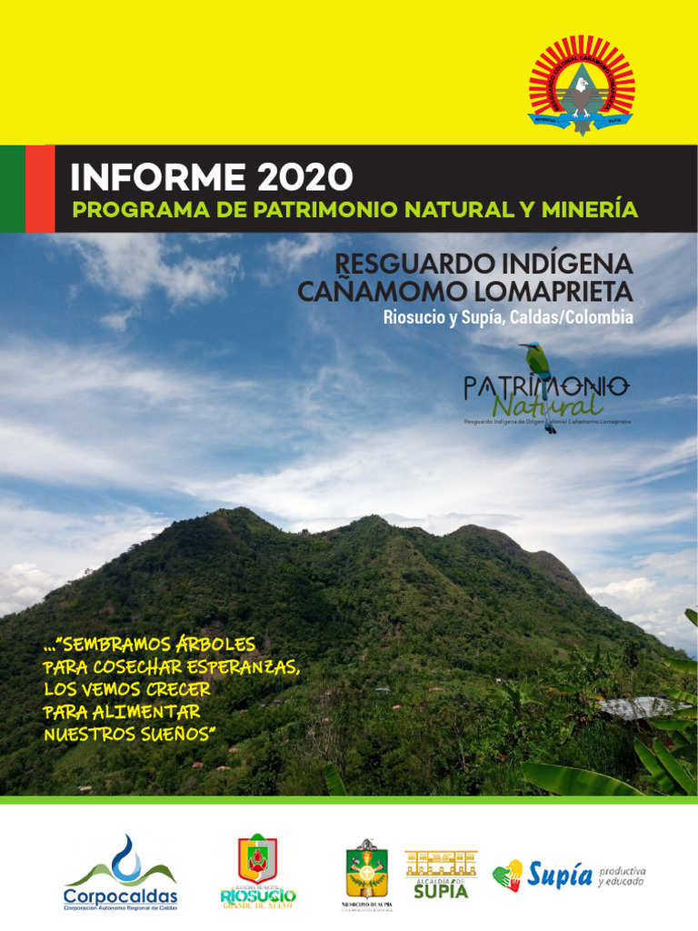 Informe 2020 Patrimonio Natural | PDF | Entorno natural | Planificación