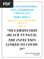 Bio Project | PDF | Sexually Transmitted Infection | Herpes Simplex