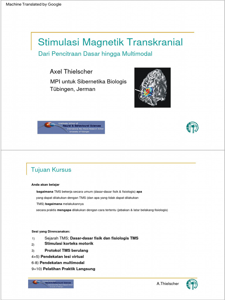TMS Basic | PDF