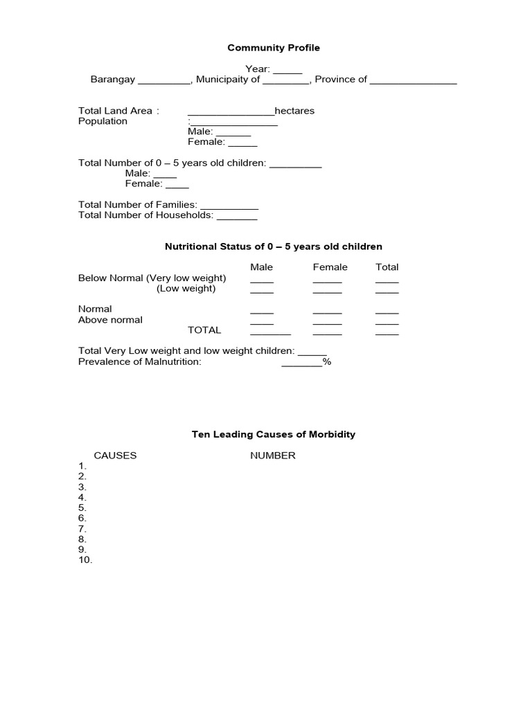 Barangay or Community Profile Template | PDF