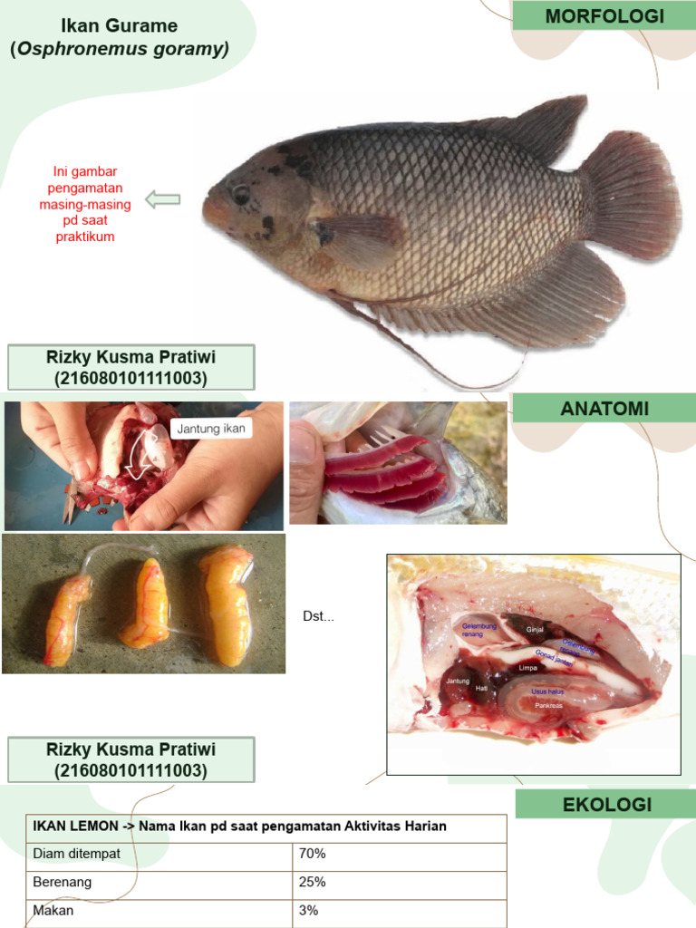 Contoh PPT Uap-1 | PDF