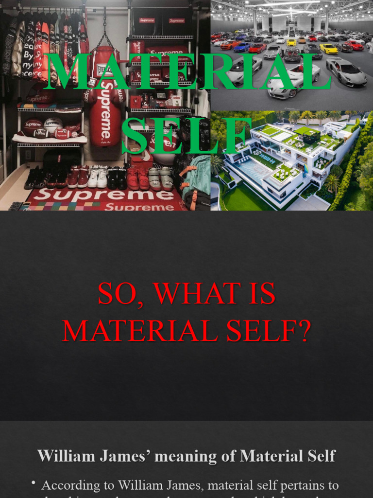 UTS Group7 - The Material Self | PDF | Consumerism | Consumer Behaviour