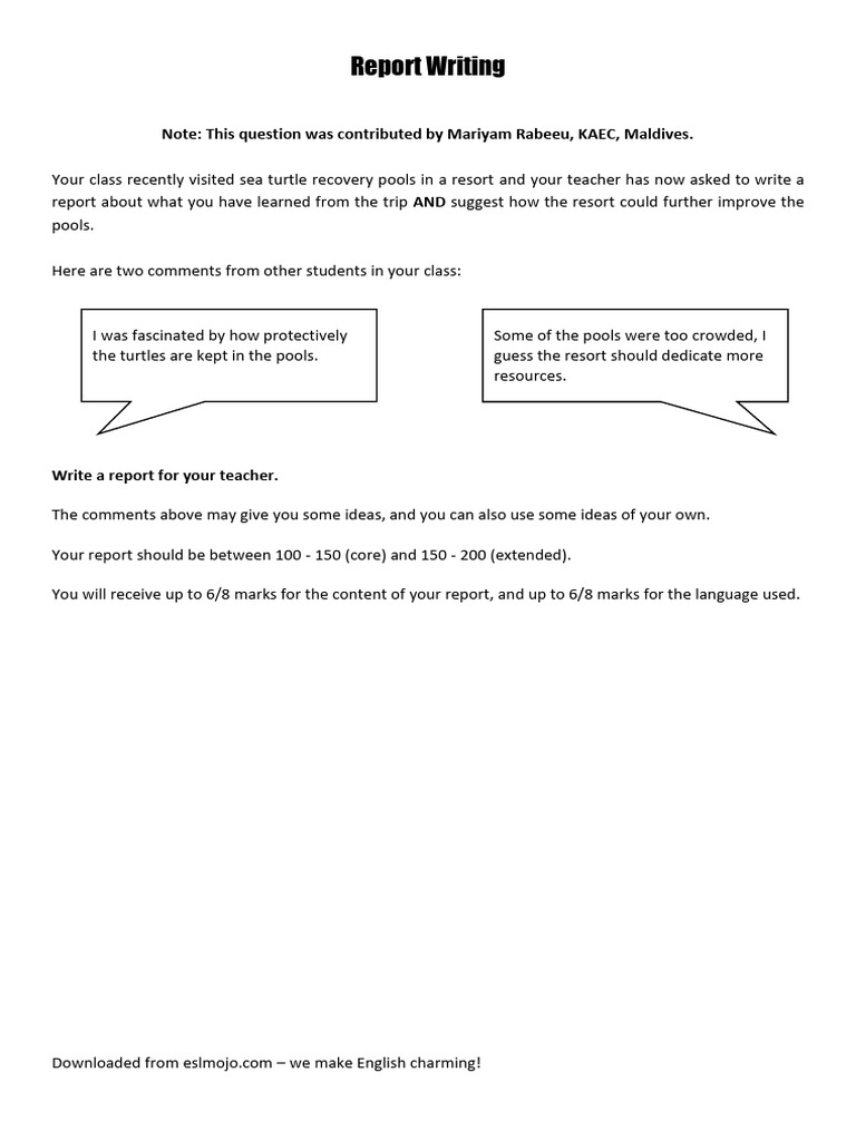 Sea-Turtle-Report-Writing | PDF