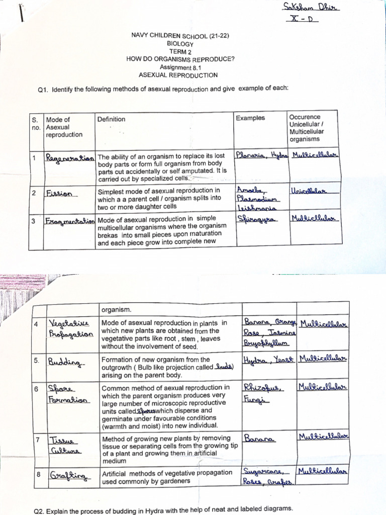 Biology Assignment 1 | PDF