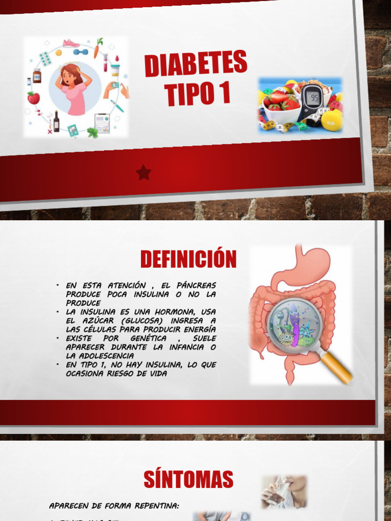 Diabetes Tipo 1 | PDF | Diabetes | Insulina