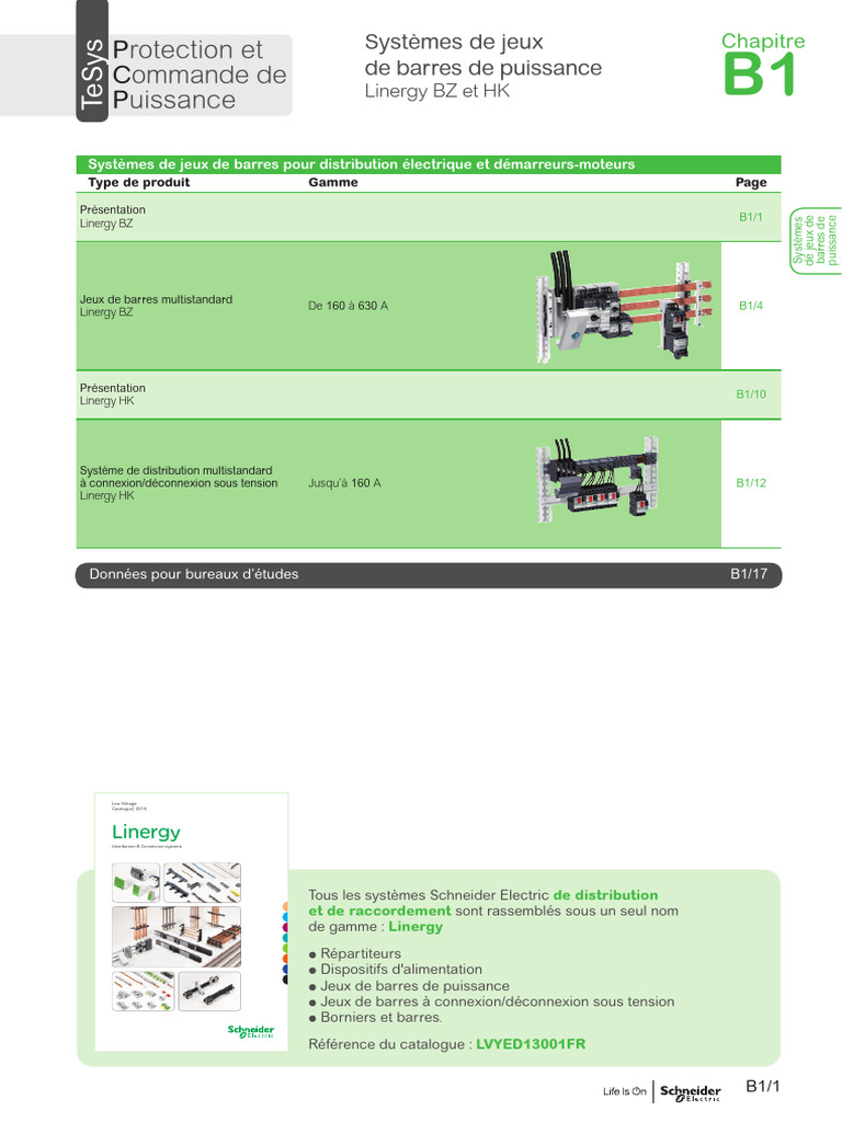 Catalogue TeSys 2019 - Chapitre B1- Systèmes de jeux de barres Linergy ...