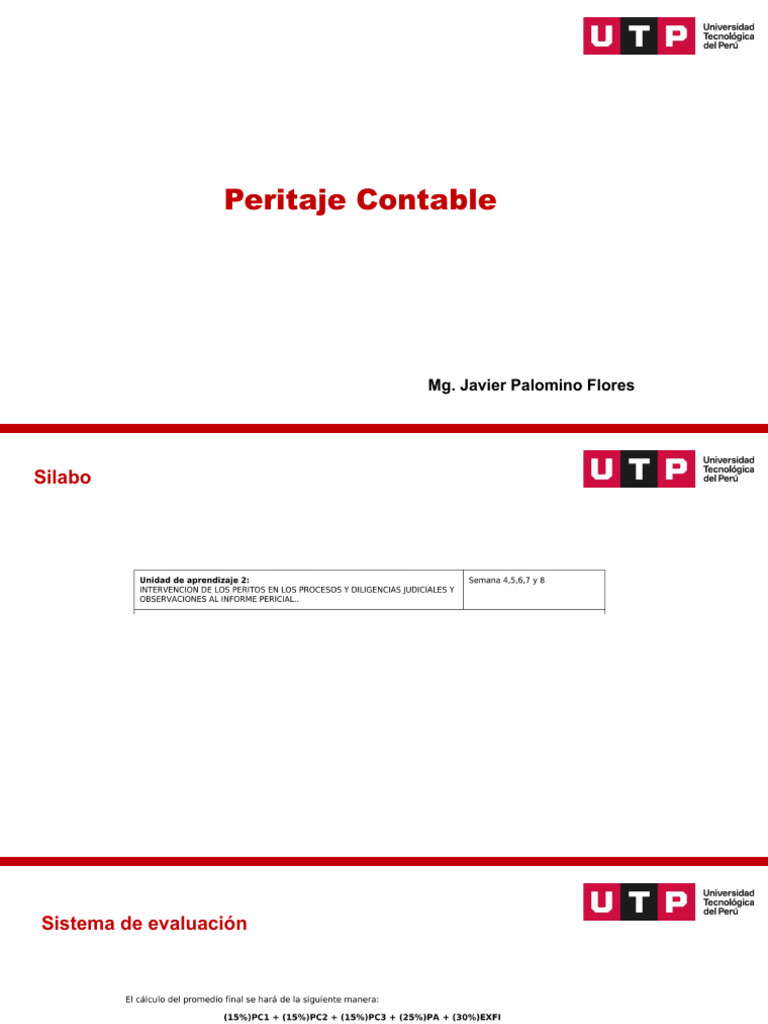 Fases del Peritaje Contable Forense | PDF