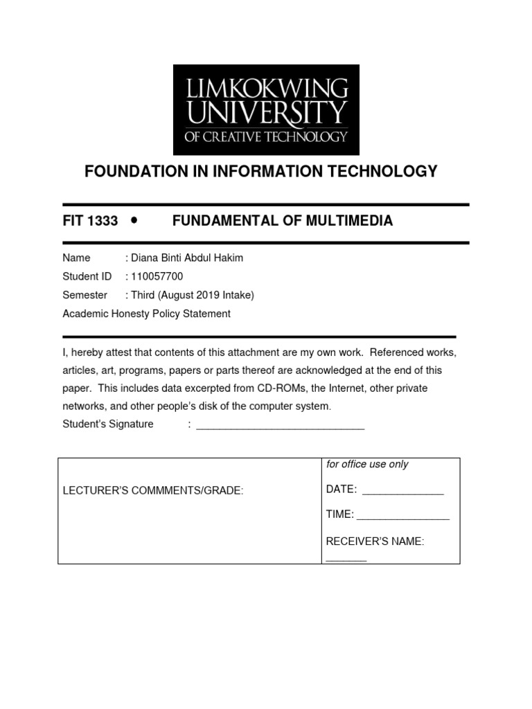 Multimedia Individual Assignment | PDF