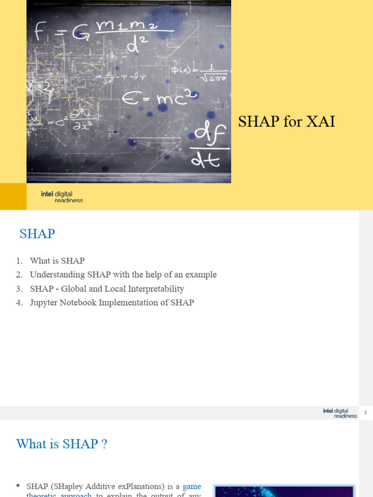 Shap Xai | PDF
