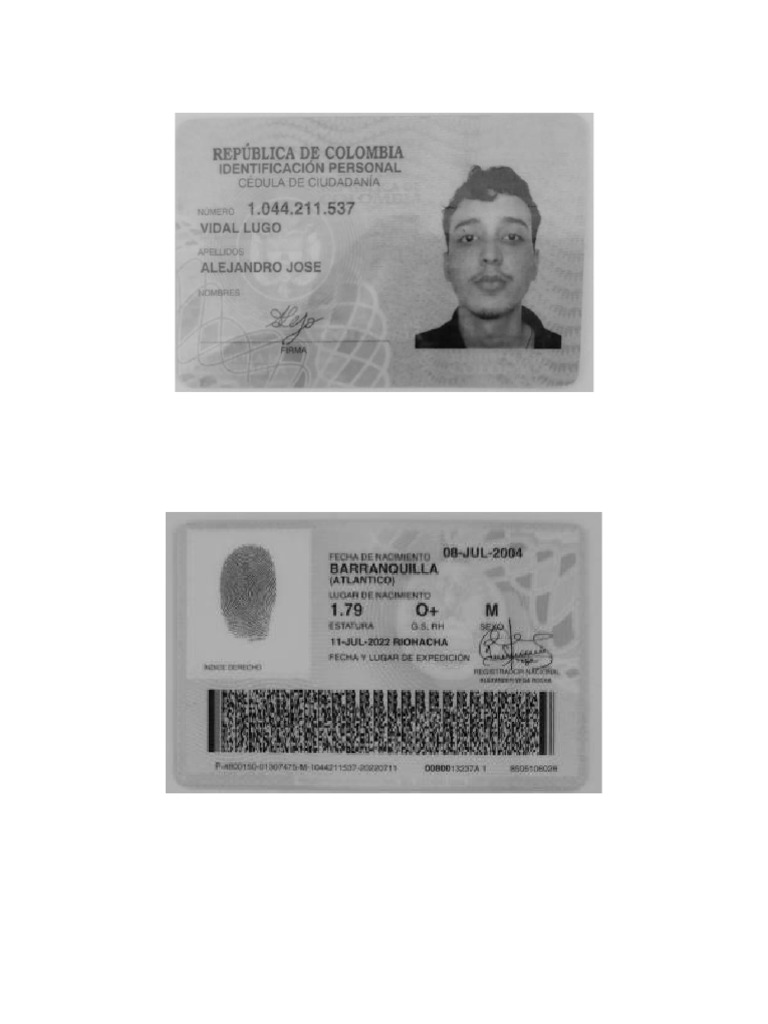 Cédula de Ciudadanía Alejandro Vidal | PDF