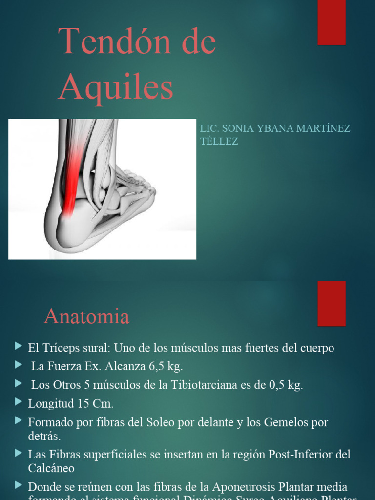 Tendón de Aquiles | PDF