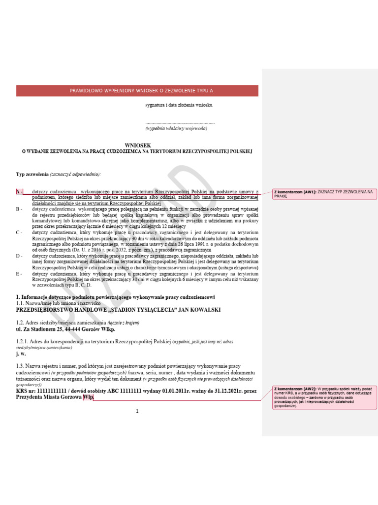 Wniosek o zezwolenie na pracę - WZÓR | PDF
