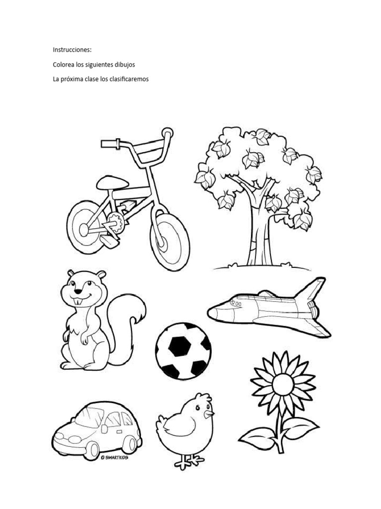 Seres Vivos y No Vivos | PDF