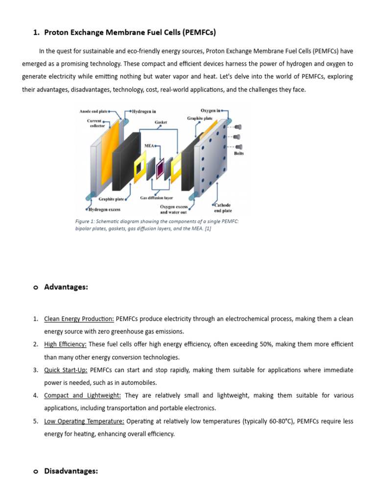 Type 1 and 2 | PDF