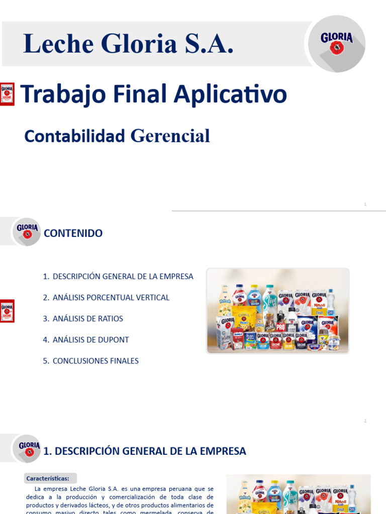 TAF Leche Gloria Grupo 4 | PDF | Rentabilidad sobre recursos propios | Apalancamiento (Finanzas)