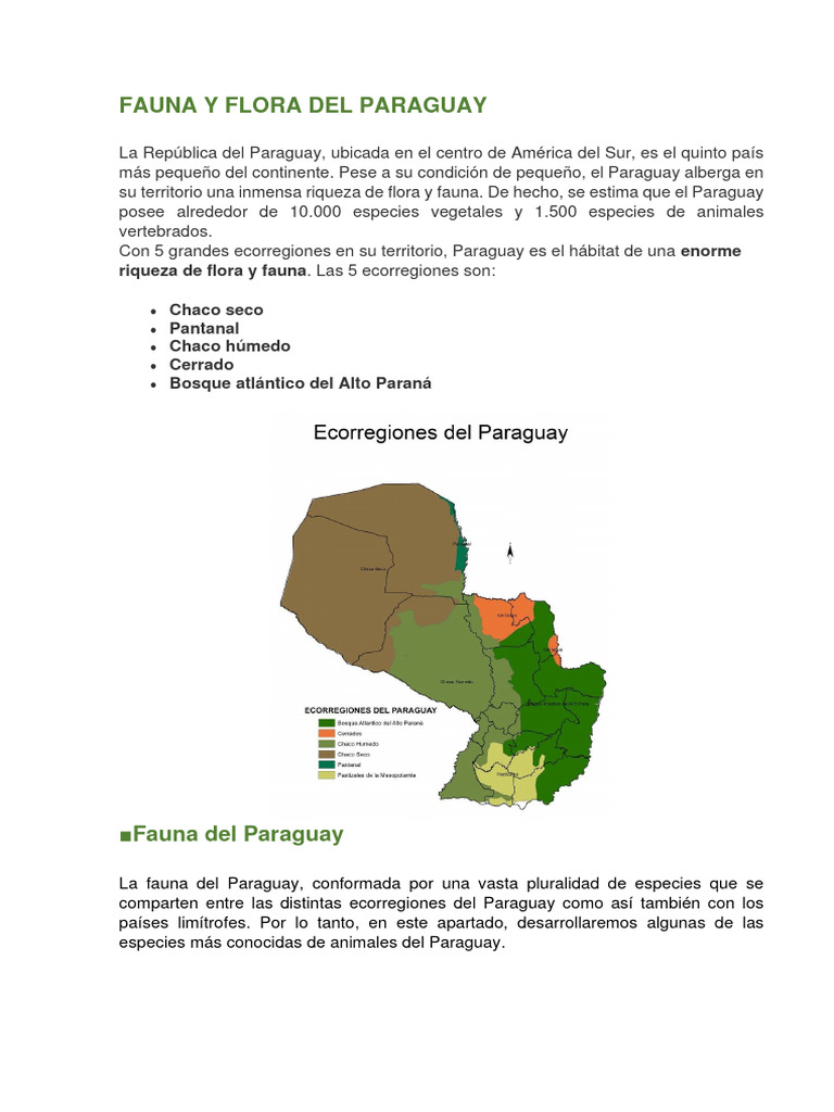 FAUNA Y FLORA DEL PARAGUAY | PDF | Jaguar