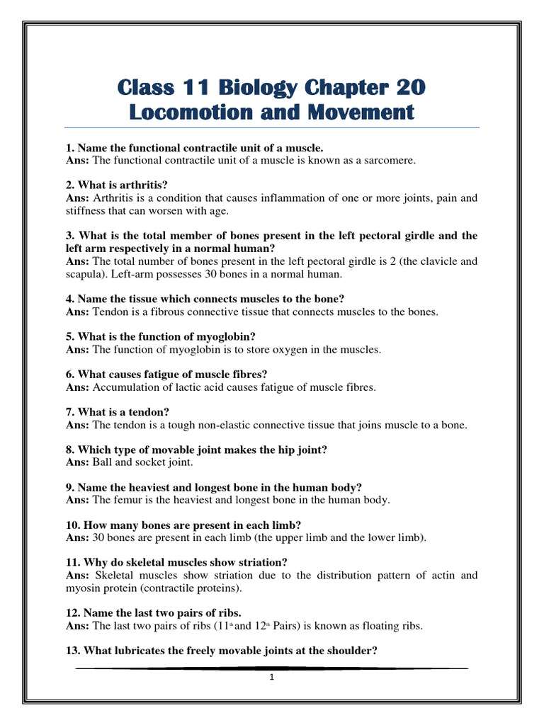 Class 11 Biology: Locomotion & Movement | PDF