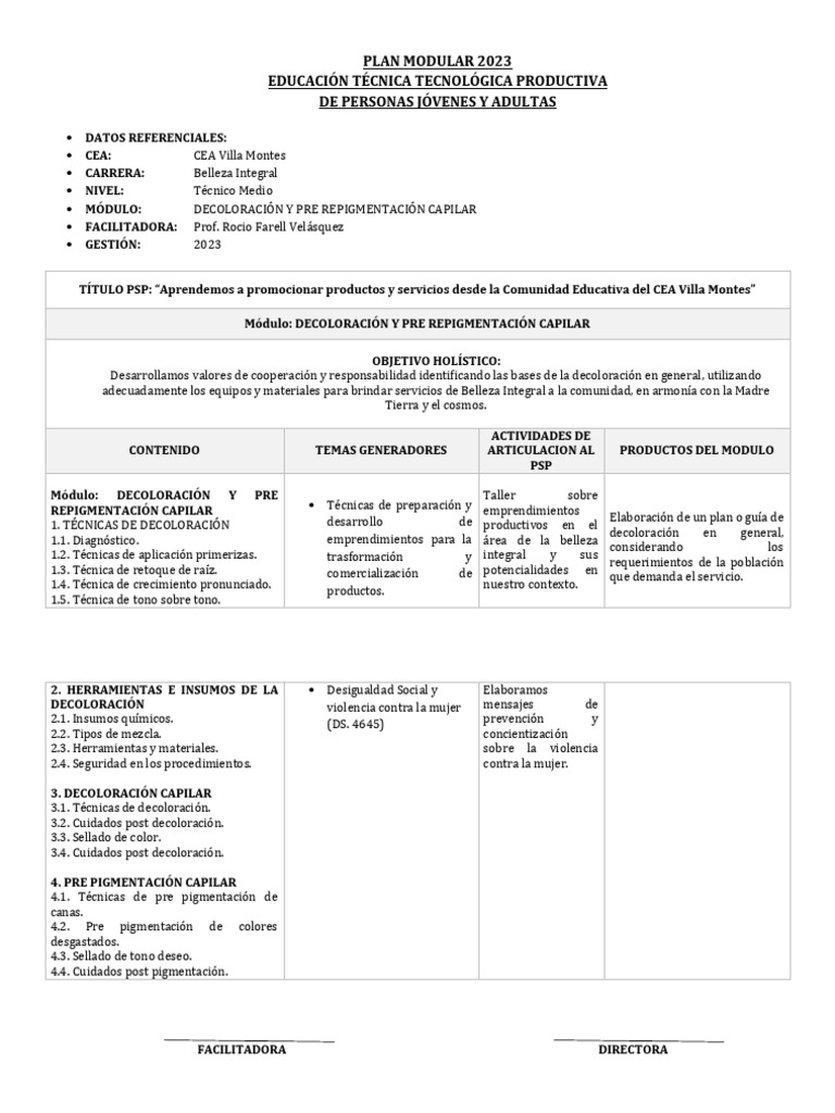 Decoloracion y Pre Repigmentacion Capilar | PDF