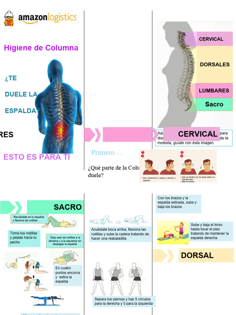 Ejercicios para la Higiene de Columna | PDF