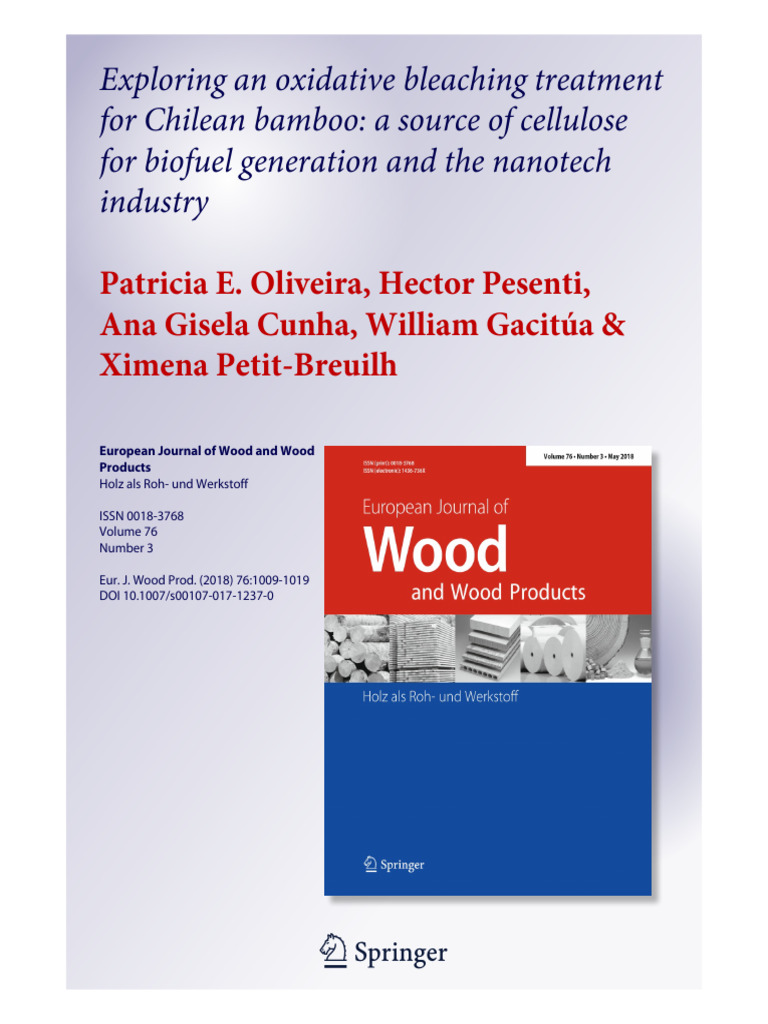 2018 - Exploring An Oxidative Bleaching Treatment For Chilean Bamboo ...