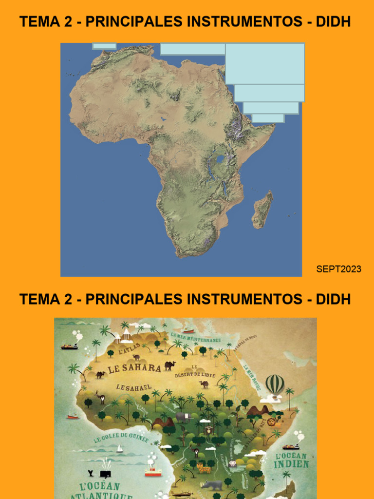 Instrumentos del DIDH en África | PDF