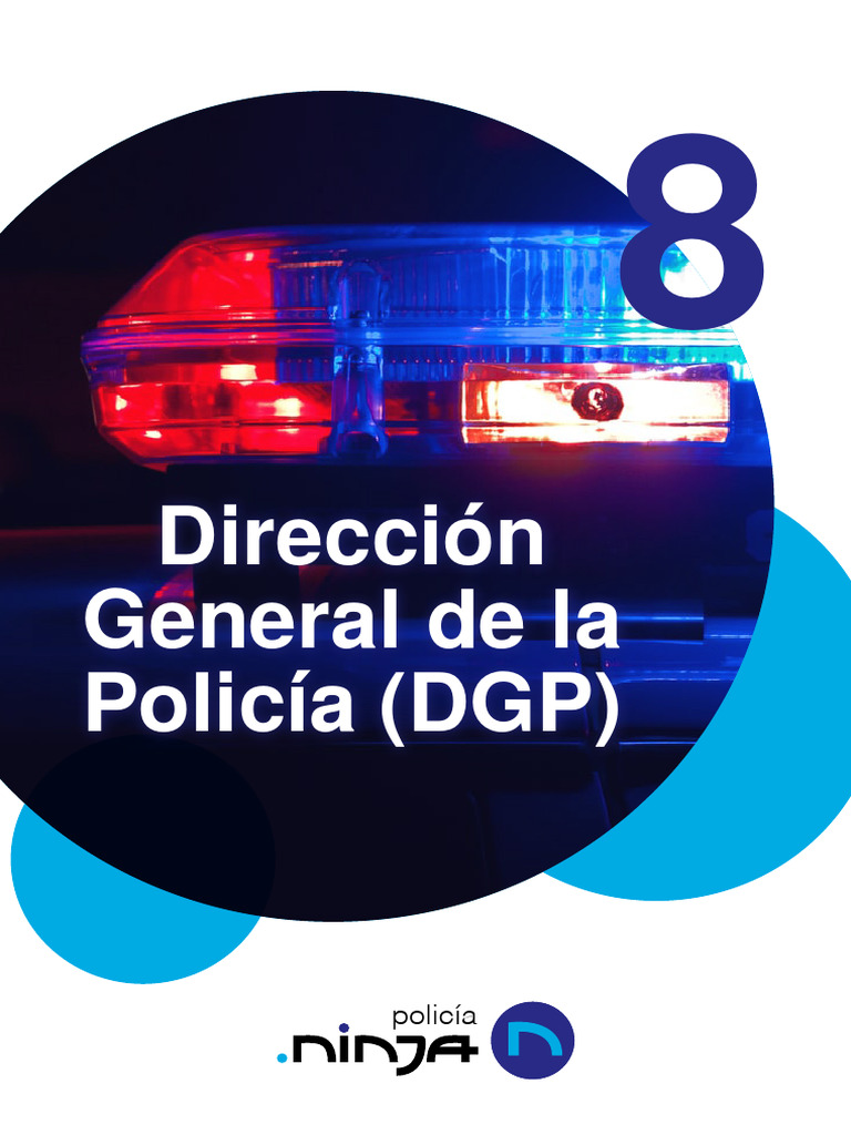 Tema-8 DGP PN | PDF