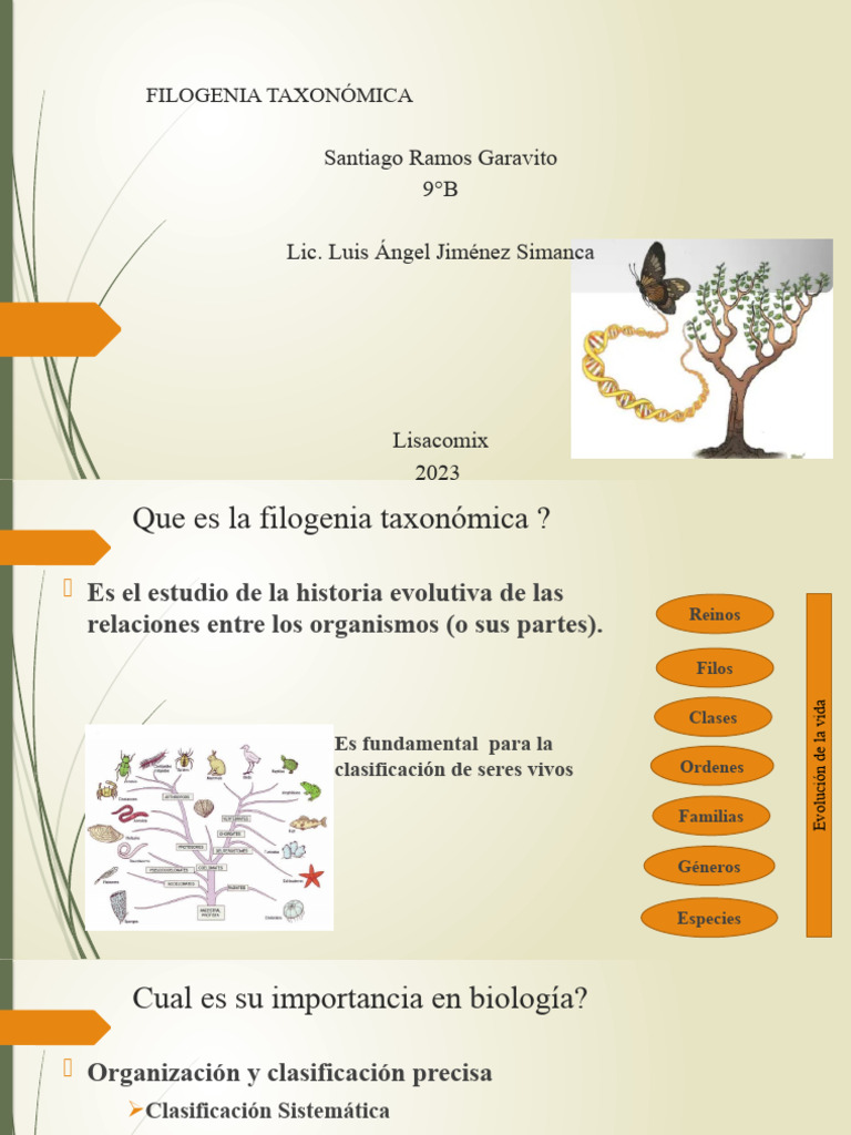Filogenia Taxonomica | PDF
