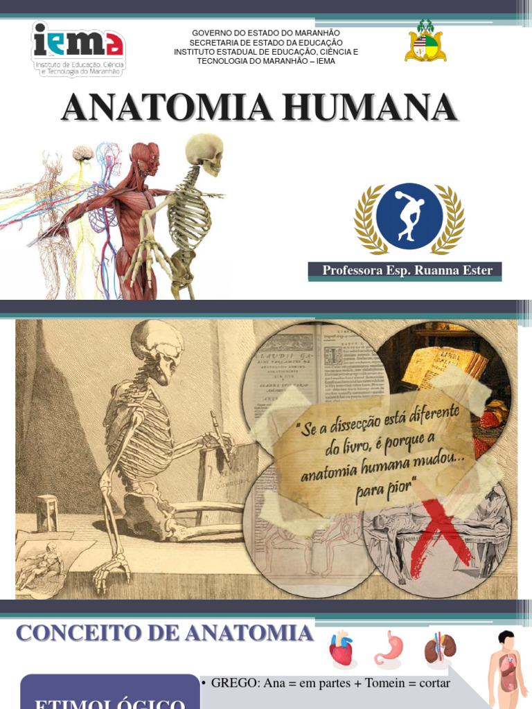 Anatomia Humana 1 Pdf Anatomia Corpo Humano